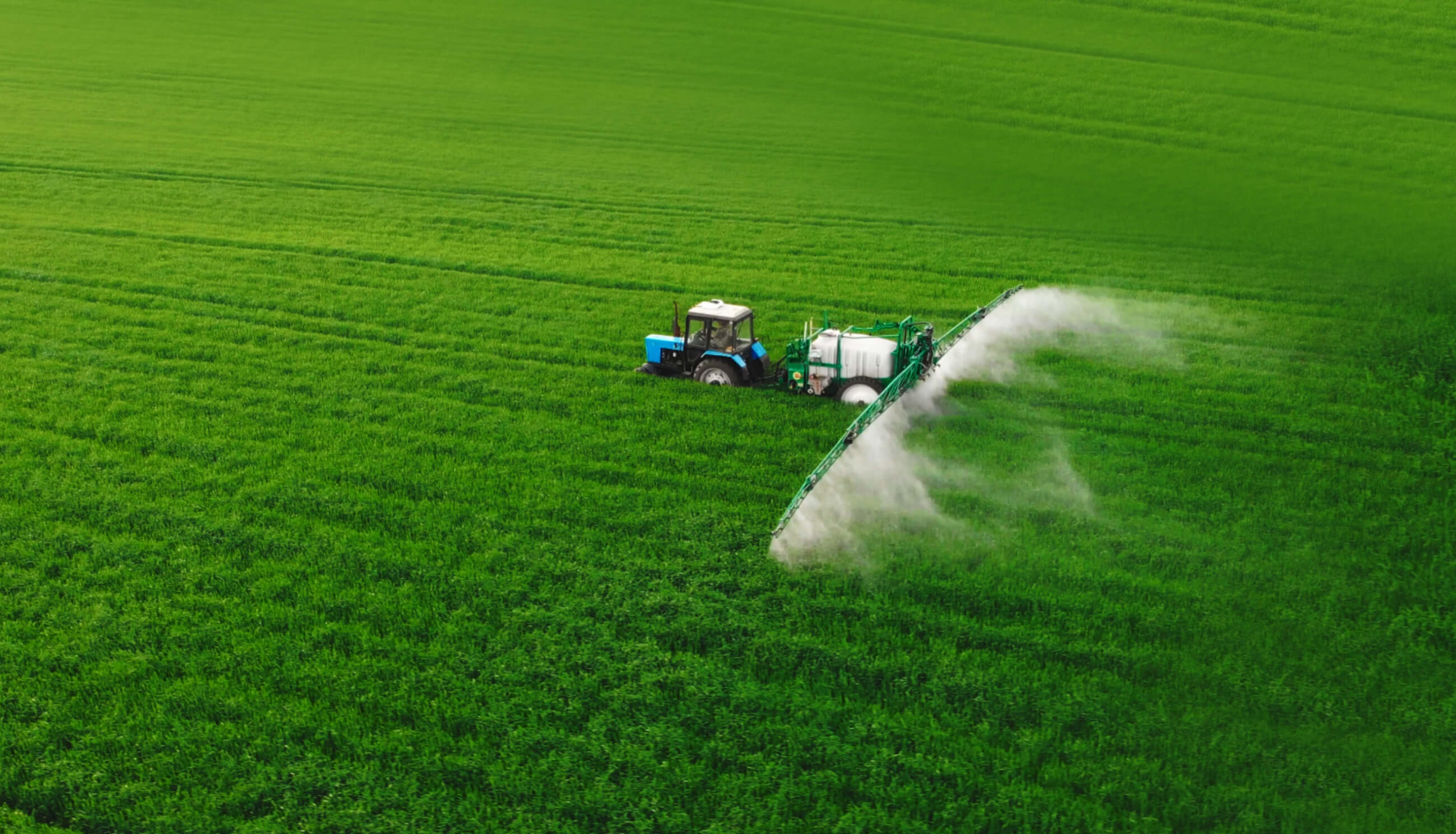 Come Funziona | Profitosan