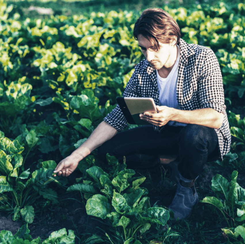 Come Funziona | Profitosan